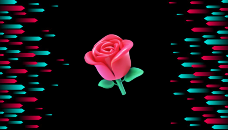 Combien coûte une rose (fleur) sur TikTok ? Prix & Conversion